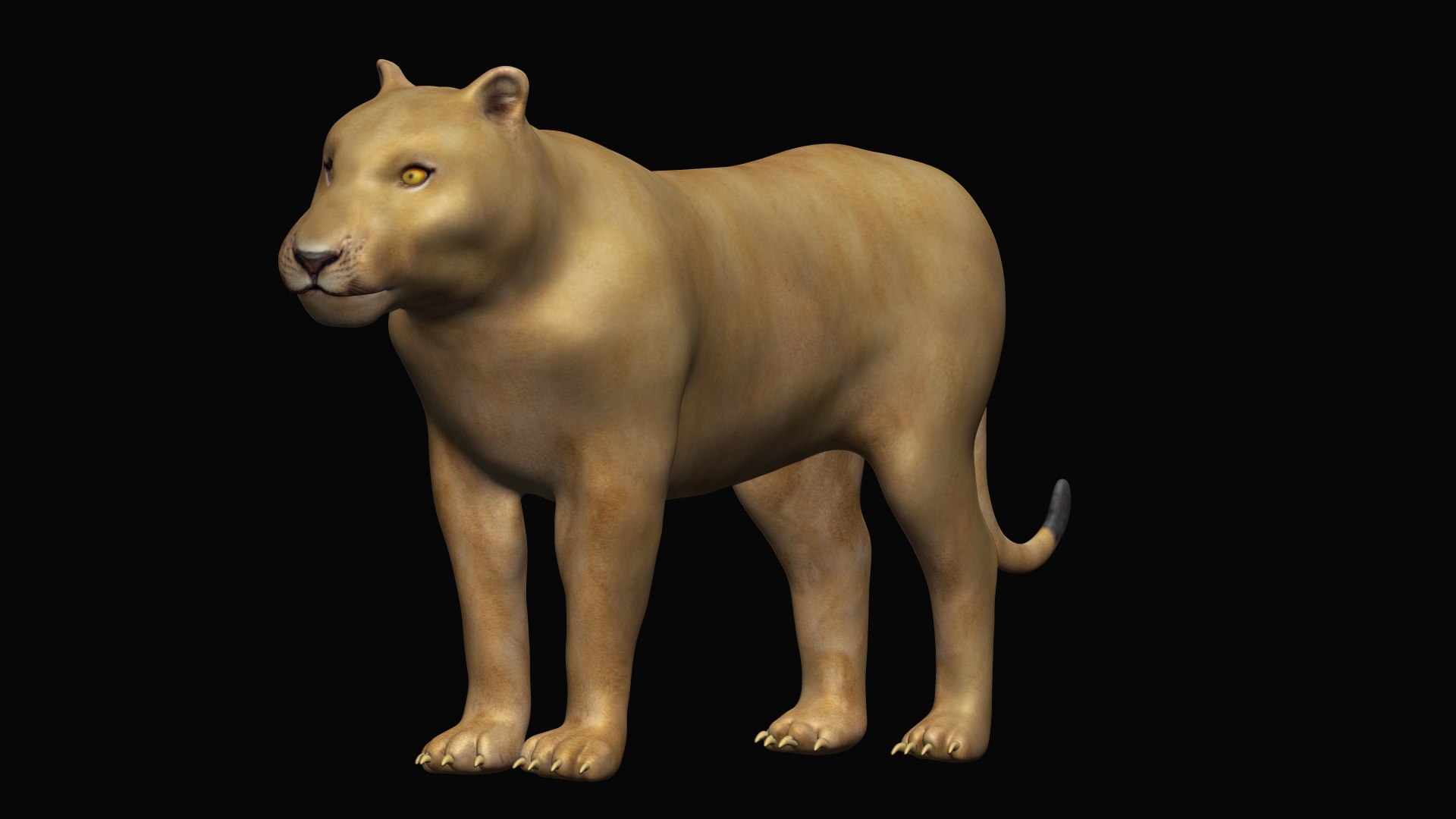 Rigged Female Lion Lioness 3D Model - TurboSquid 1694845