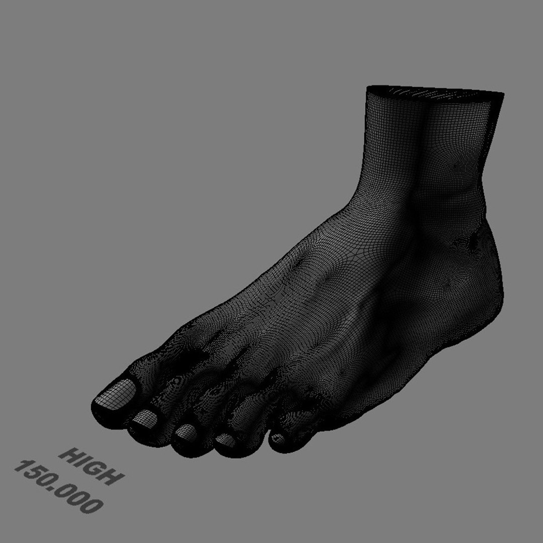 Human Foot 3d Obj