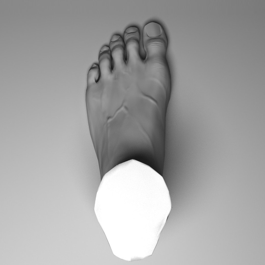 Human Foot 3d Obj
