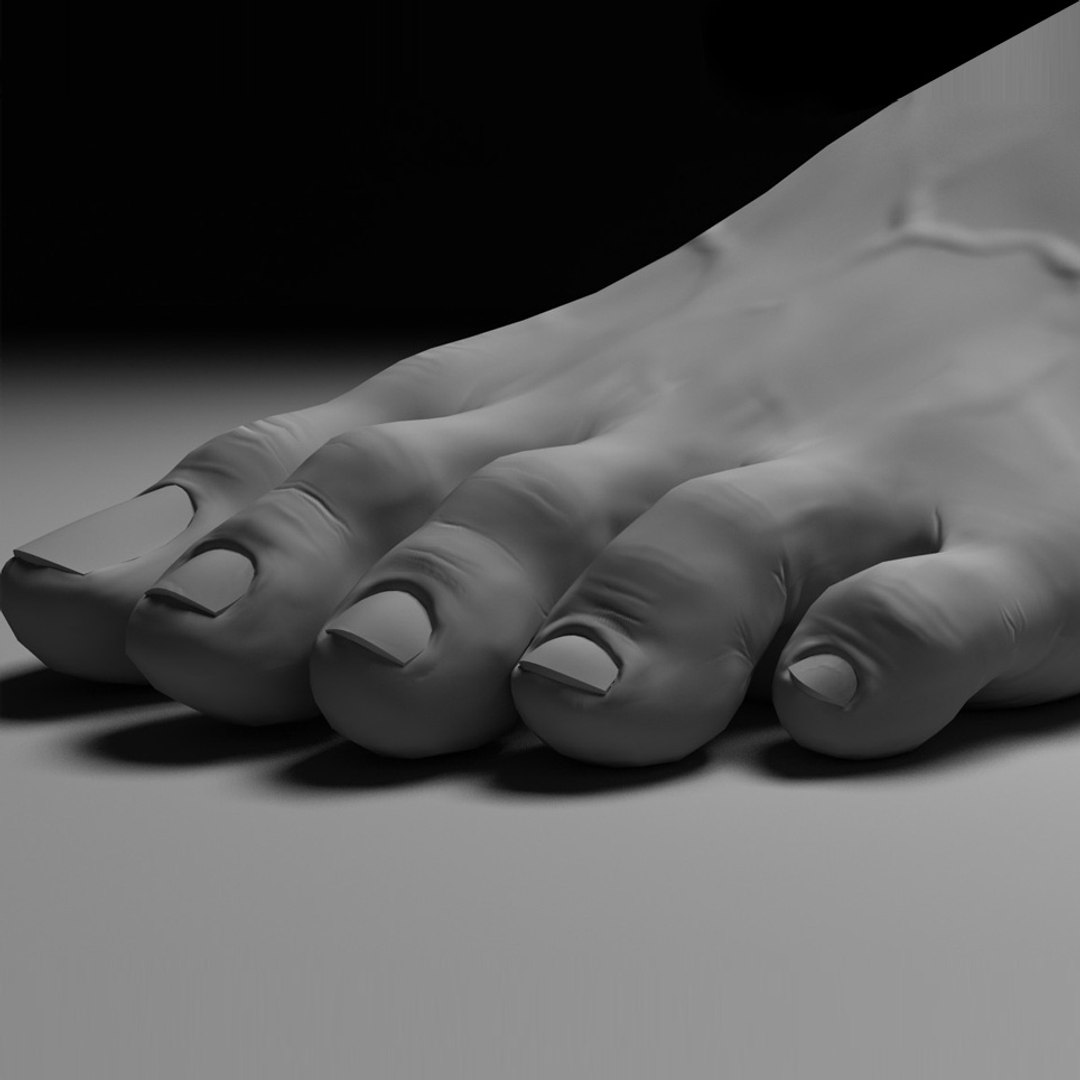Human Foot 3d Obj