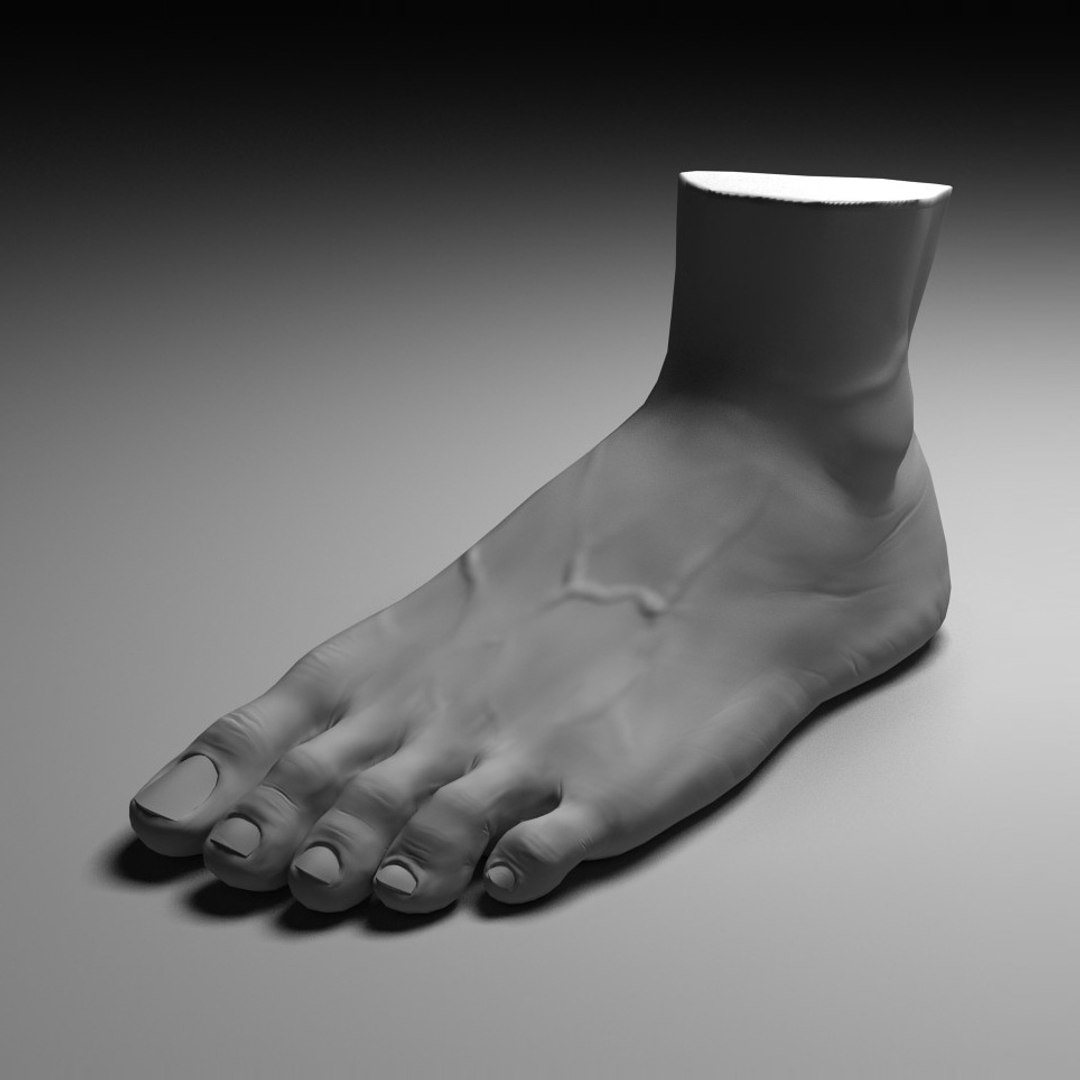 Human Foot 3d Obj