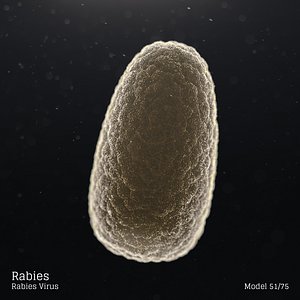 Rabies 3D Models for Download | TurboSquid