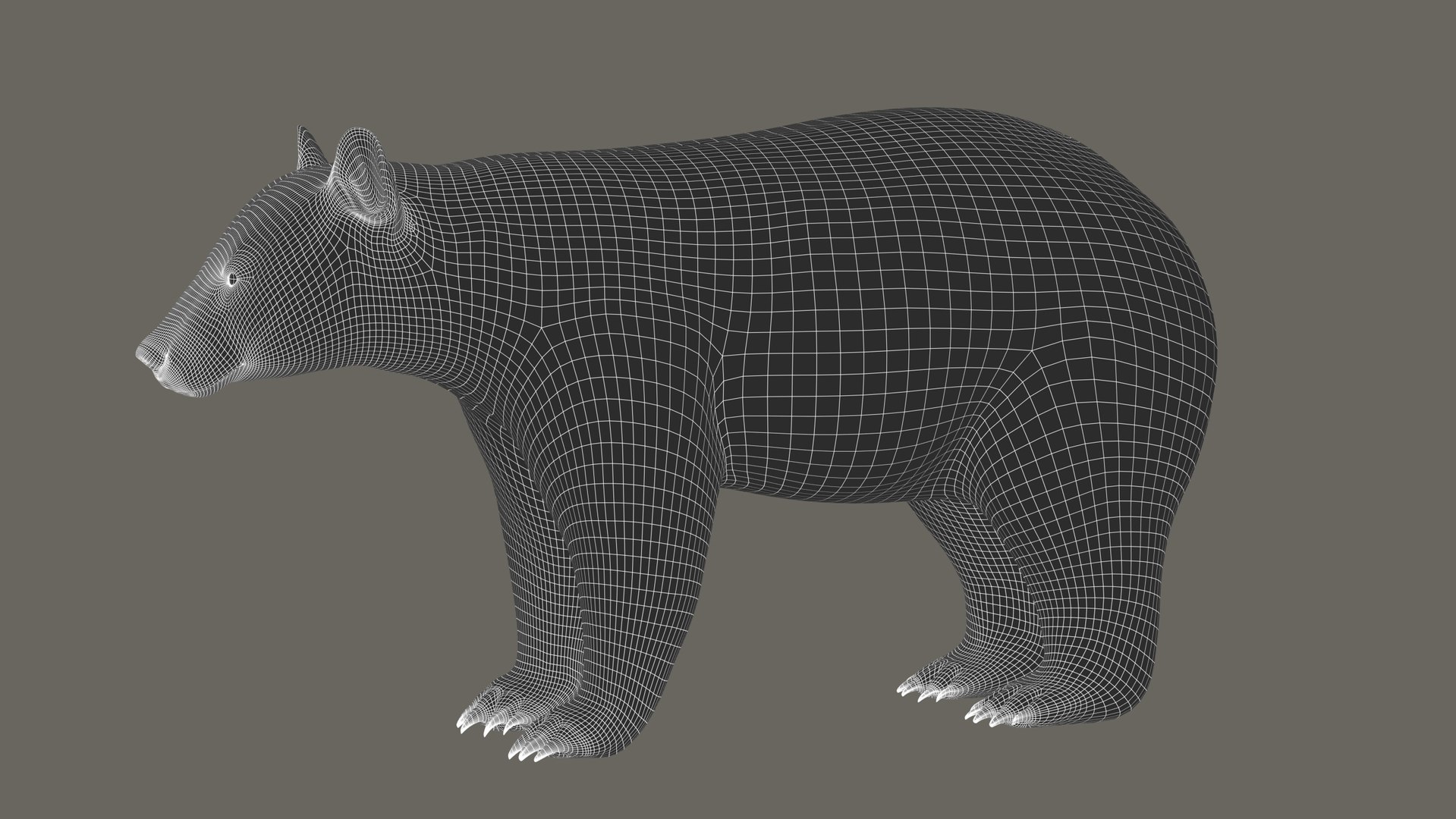 3D Black Bear ANIMATED Xgen-core - TurboSquid 2341951