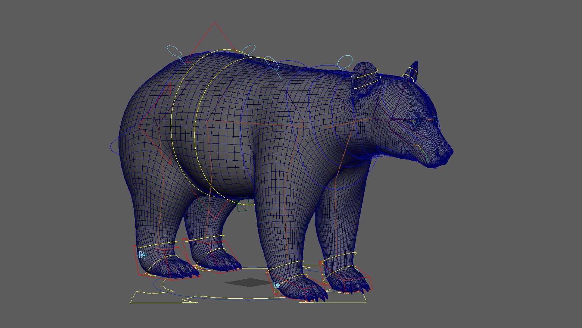 3D Black Bear ANIMATED Xgen-core - TurboSquid 2341951