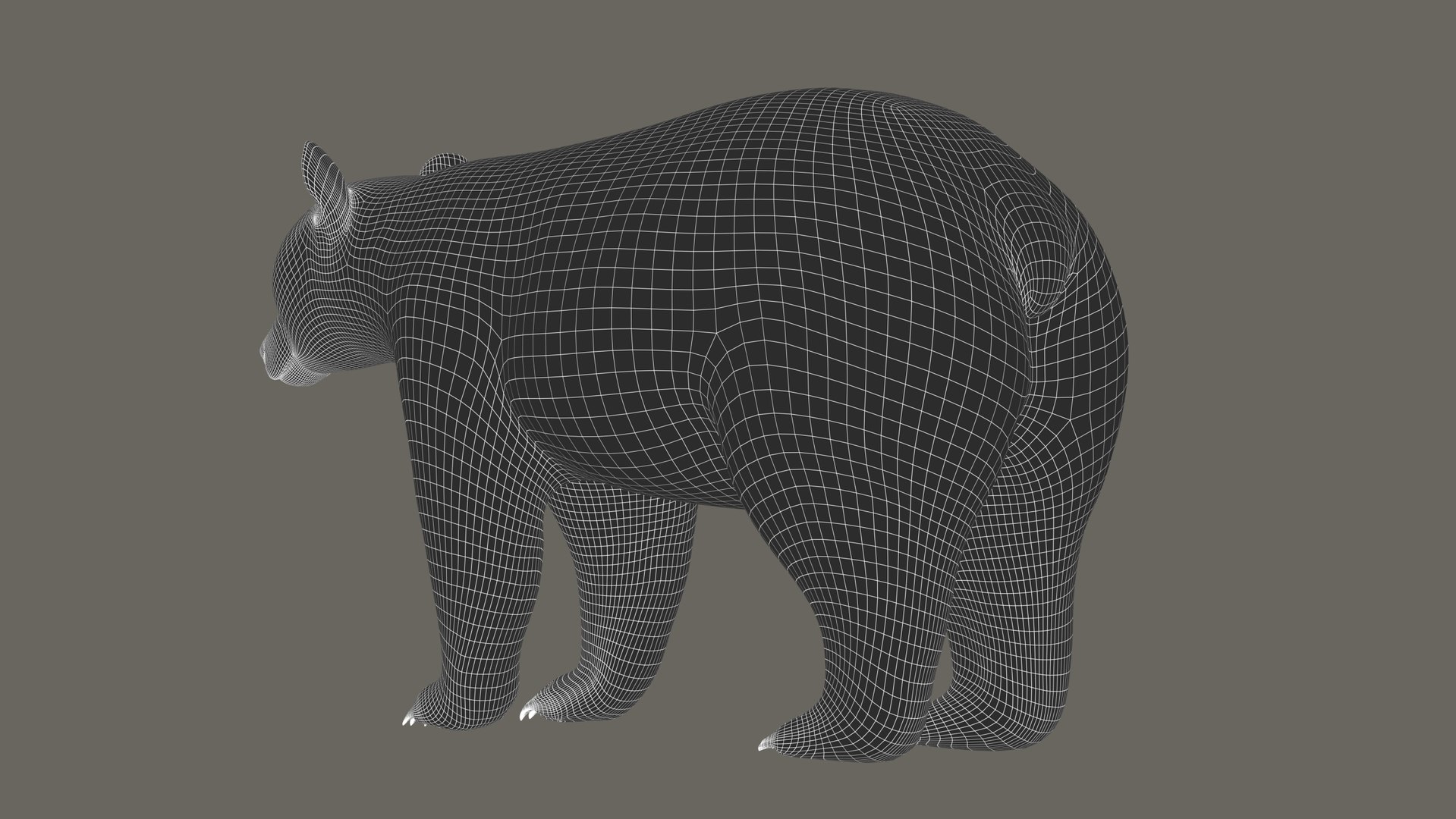 3D Black Bear ANIMATED Xgen-core - TurboSquid 2341951