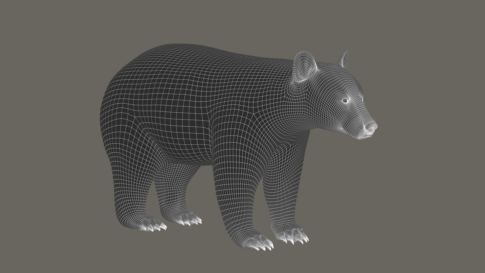 3D Black Bear ANIMATED Xgen-core - TurboSquid 2341951