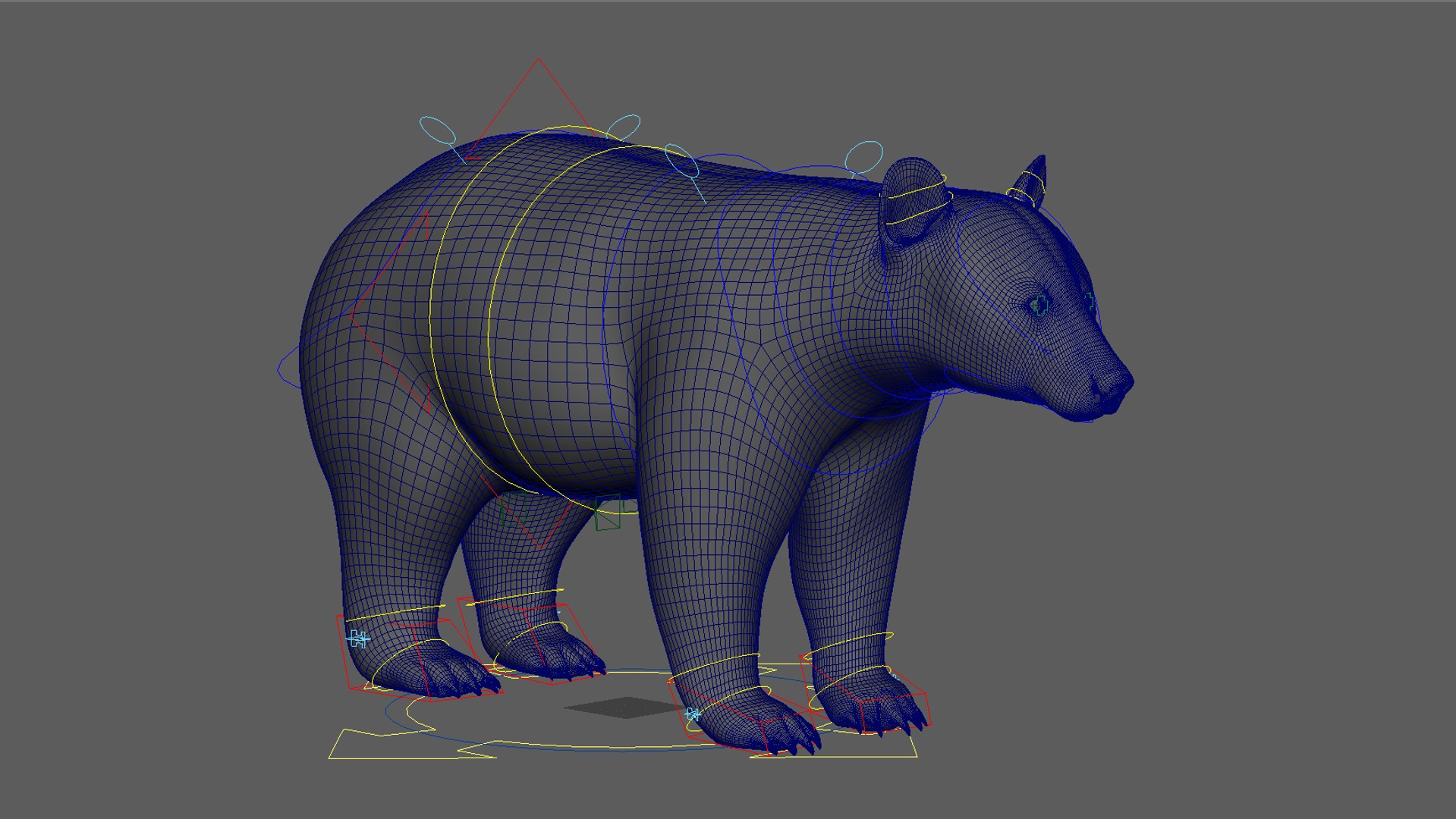 3D Black Bear ANIMATED Xgen-core - TurboSquid 2341951