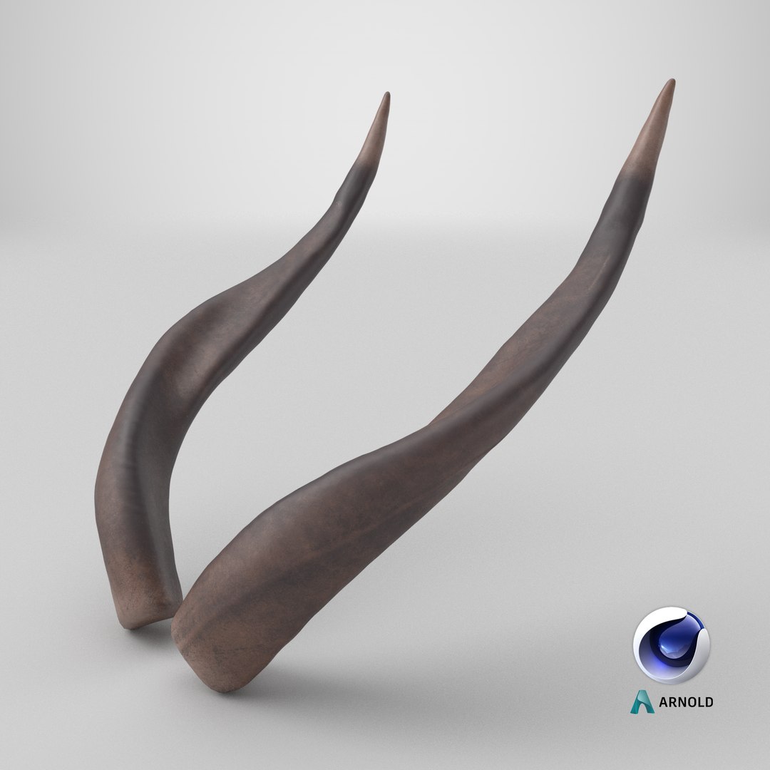 3D Horn V7 Model - TurboSquid 1744483