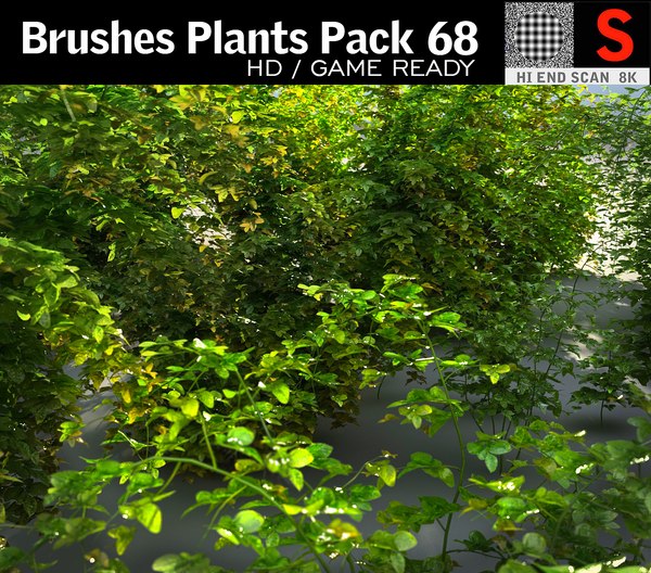 Vine 3D Models for Download | TurboSquid