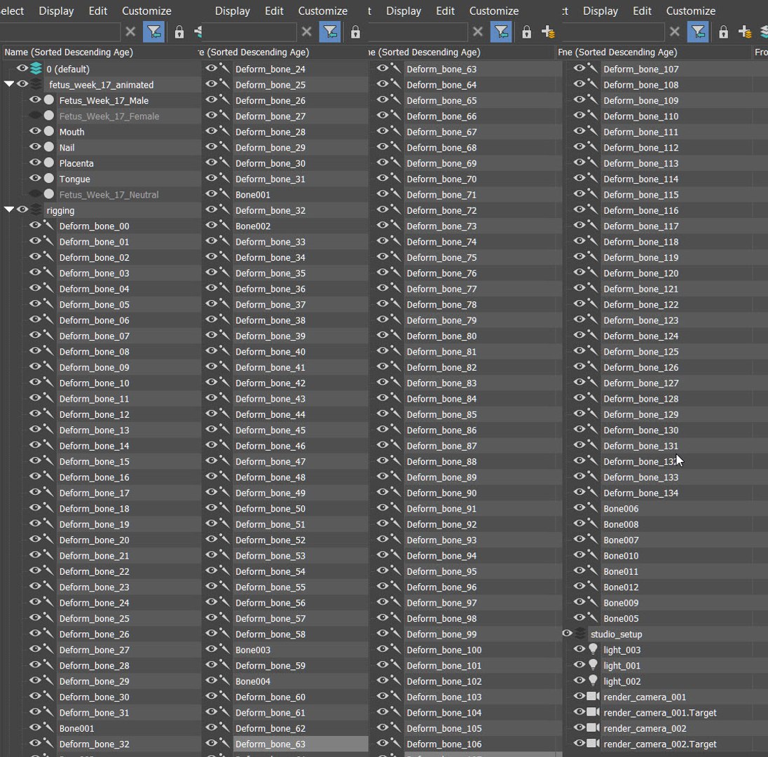 3D Fetus Week 17 Animated Model - TurboSquid 1858638