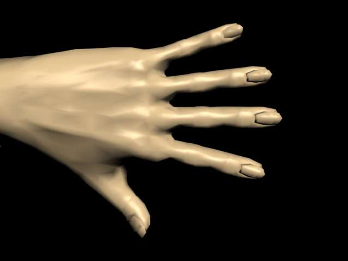 Body Builder 3d Model