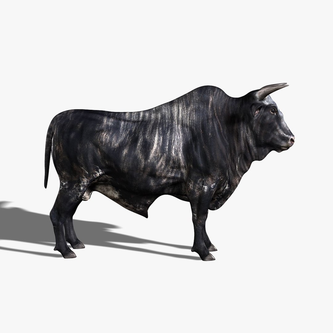 3ds Max Bull