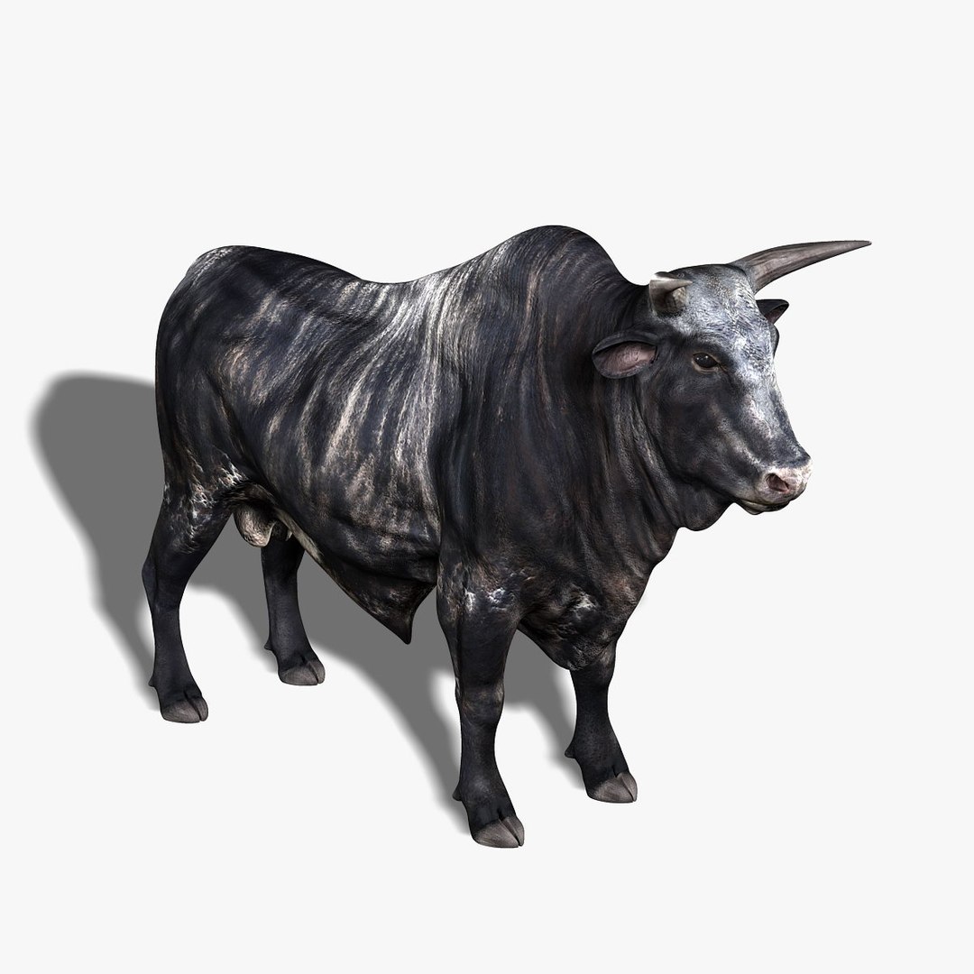 3ds Max Bull