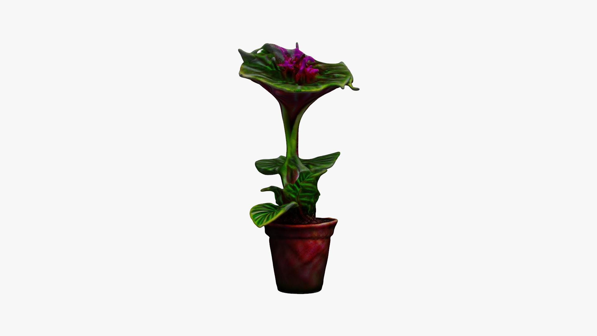 3D Blooming Pitcher Plant - TurboSquid 2278288