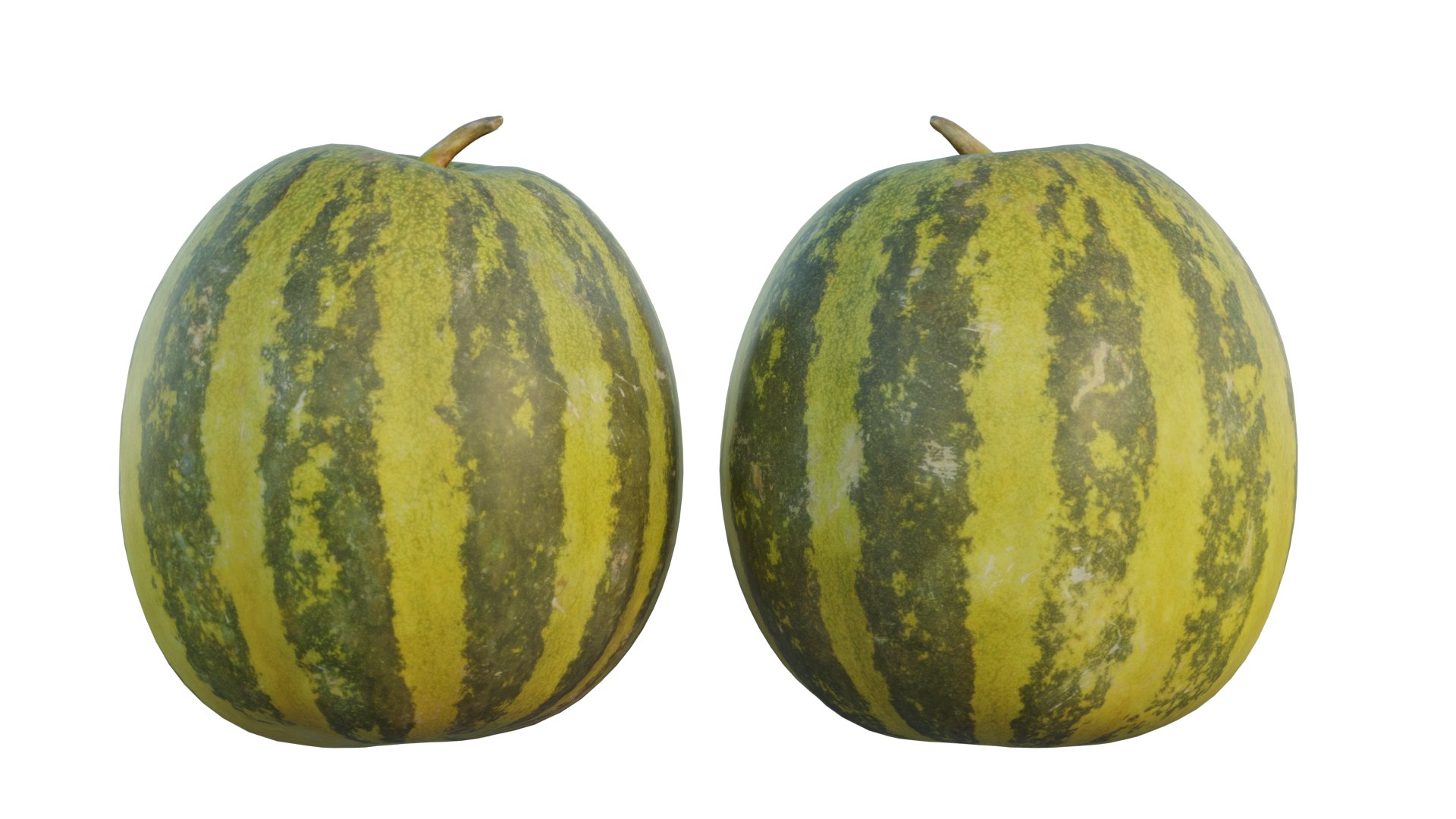 Melon Model - TurboSquid 1903498
