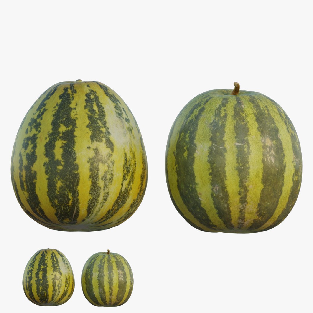 Melon Model - TurboSquid 1903498