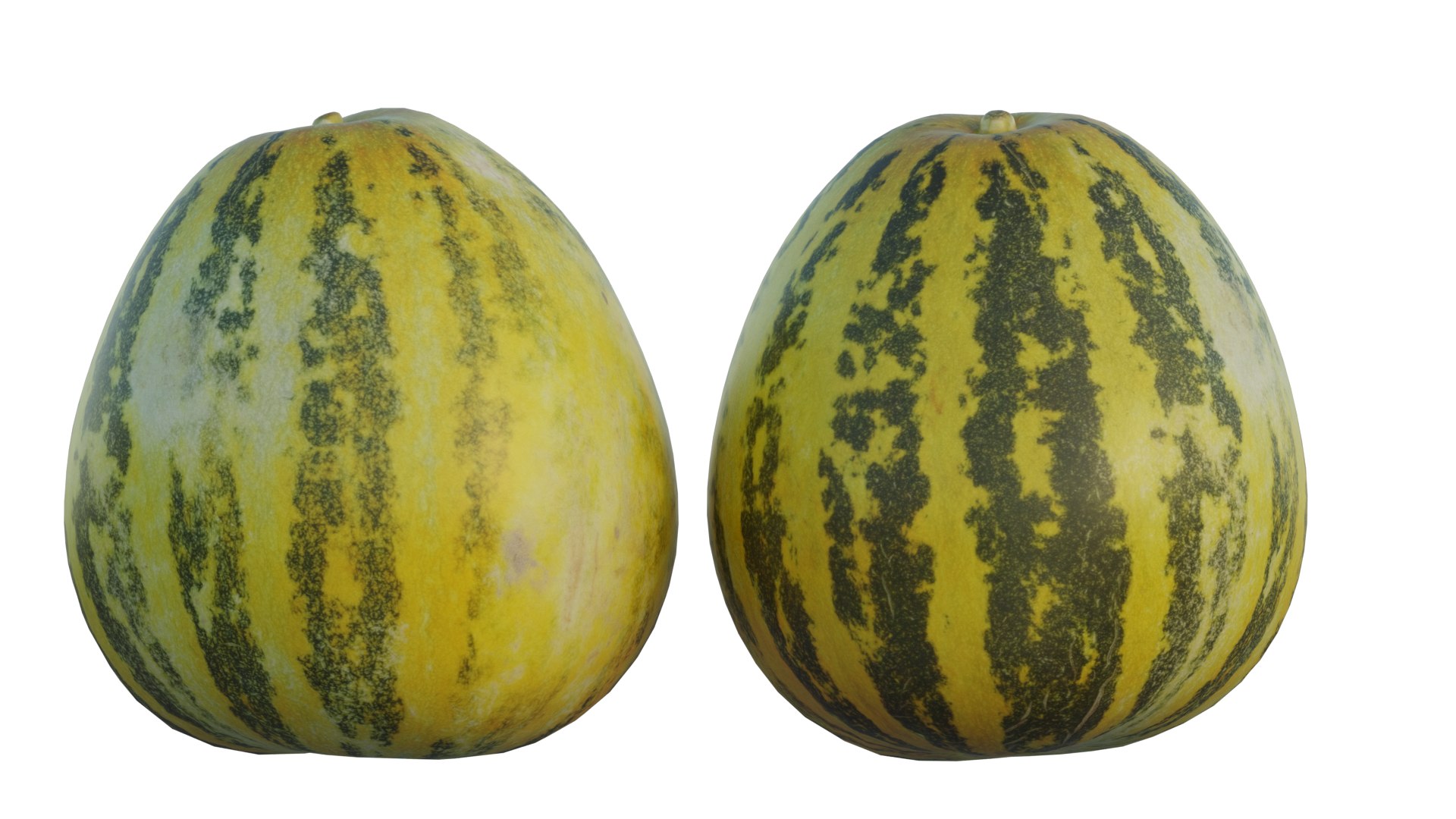 Melon Model - TurboSquid 1903498