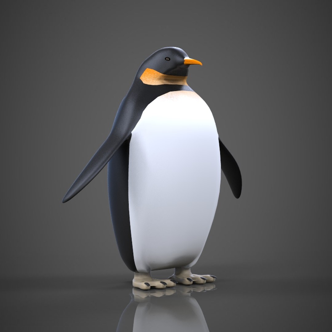Penguin Bird Model - TurboSquid 1385582