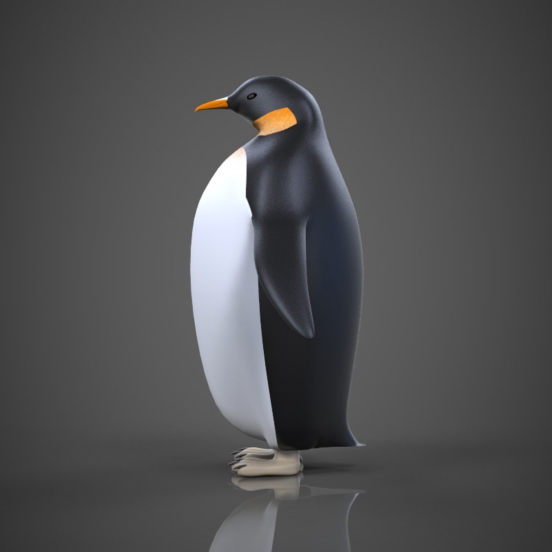 Penguin Bird Model - TurboSquid 1385582