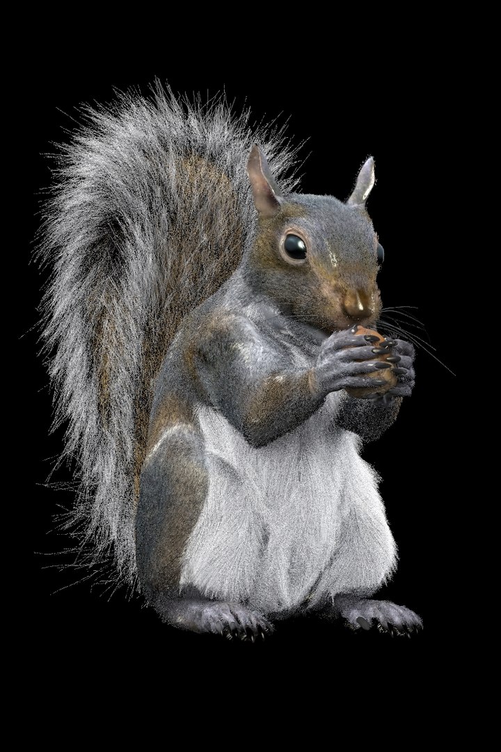 3d Squirrel Modelled Modo Model