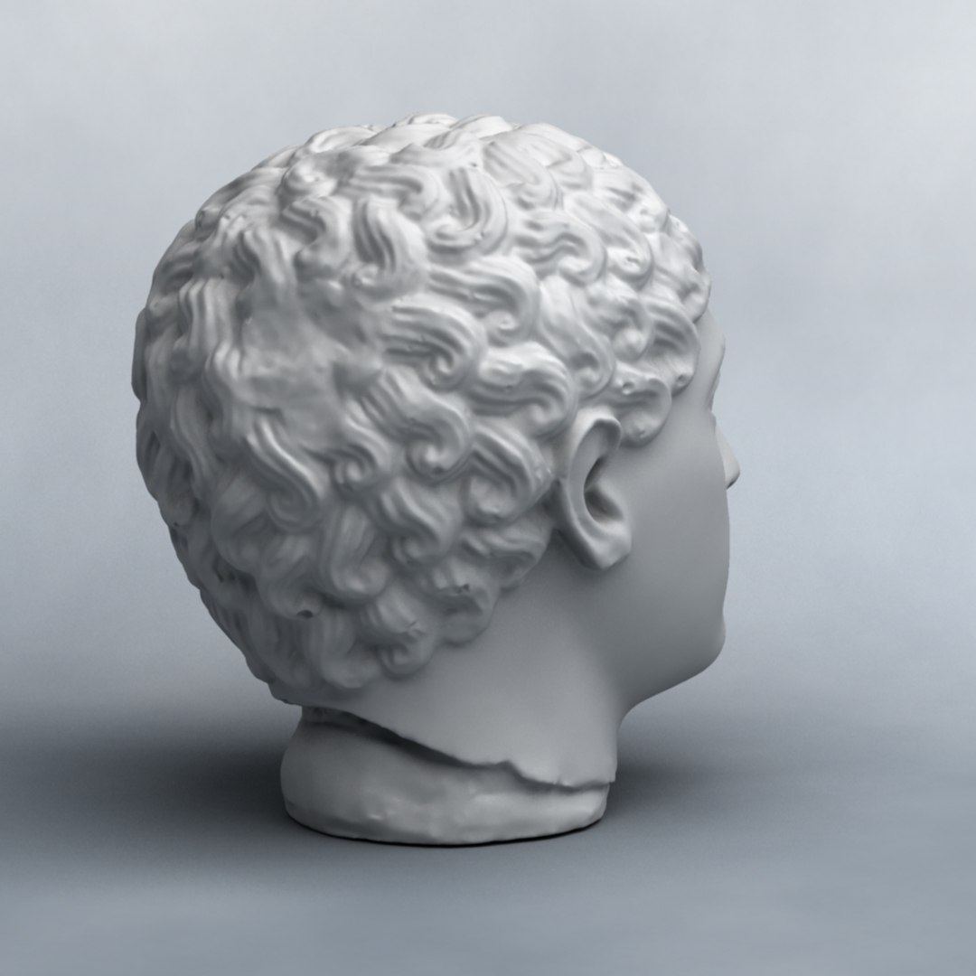 Scan Statue Head 3d Model