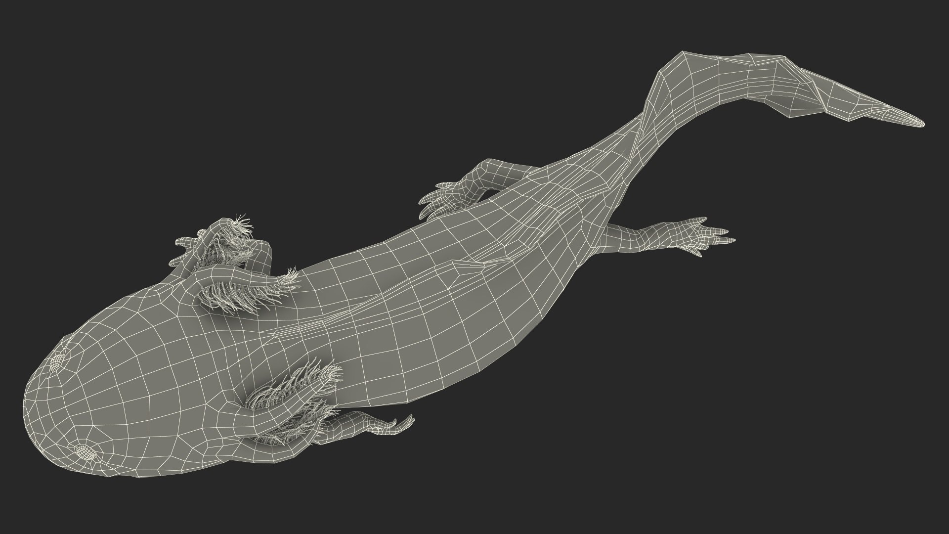 Pink Albino Axolotl 3D Model - TurboSquid 2210055