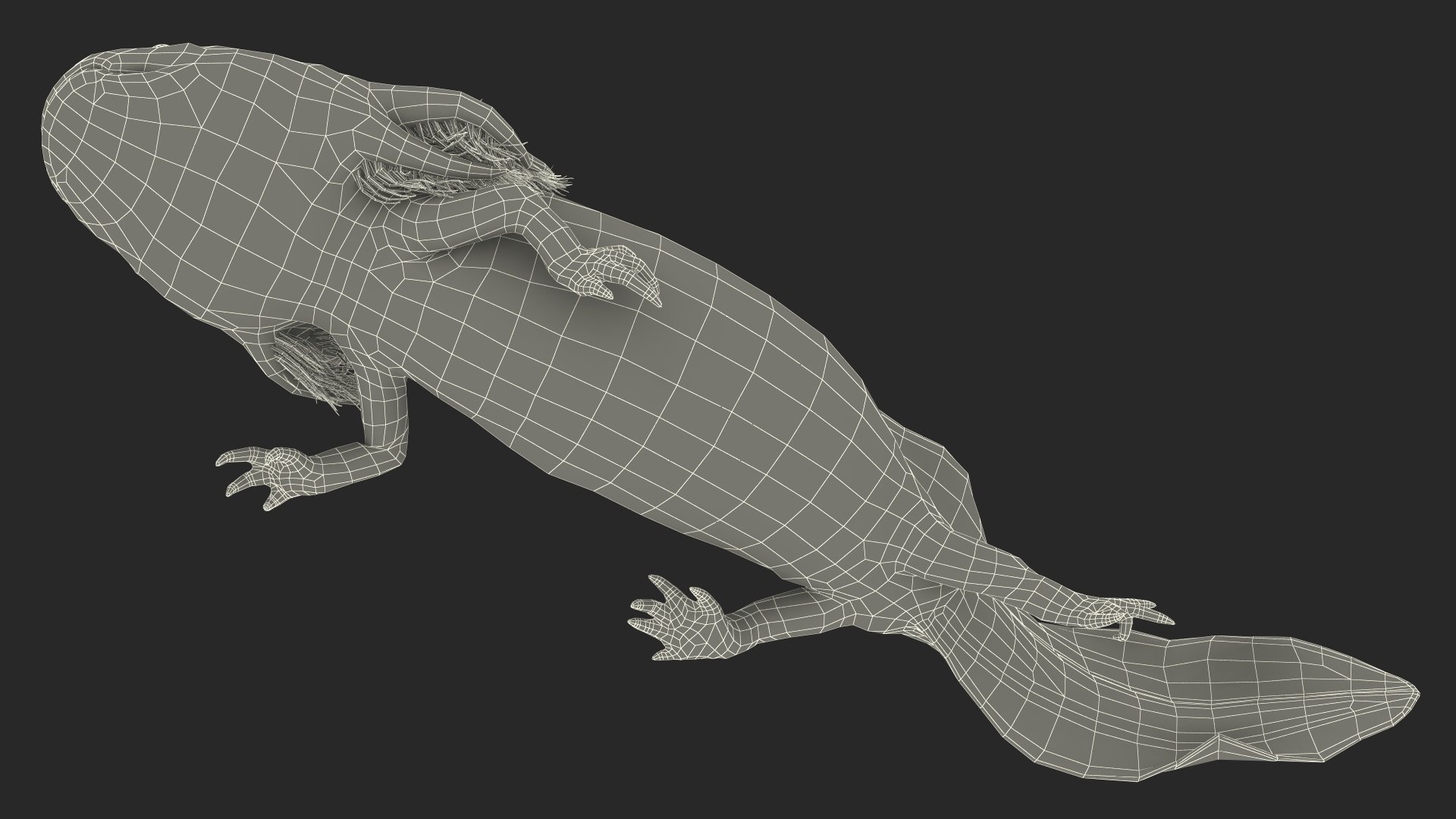 Pink Albino Axolotl 3D Model - TurboSquid 2210055