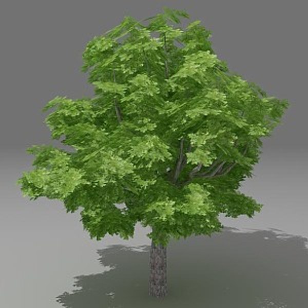 3d tree model