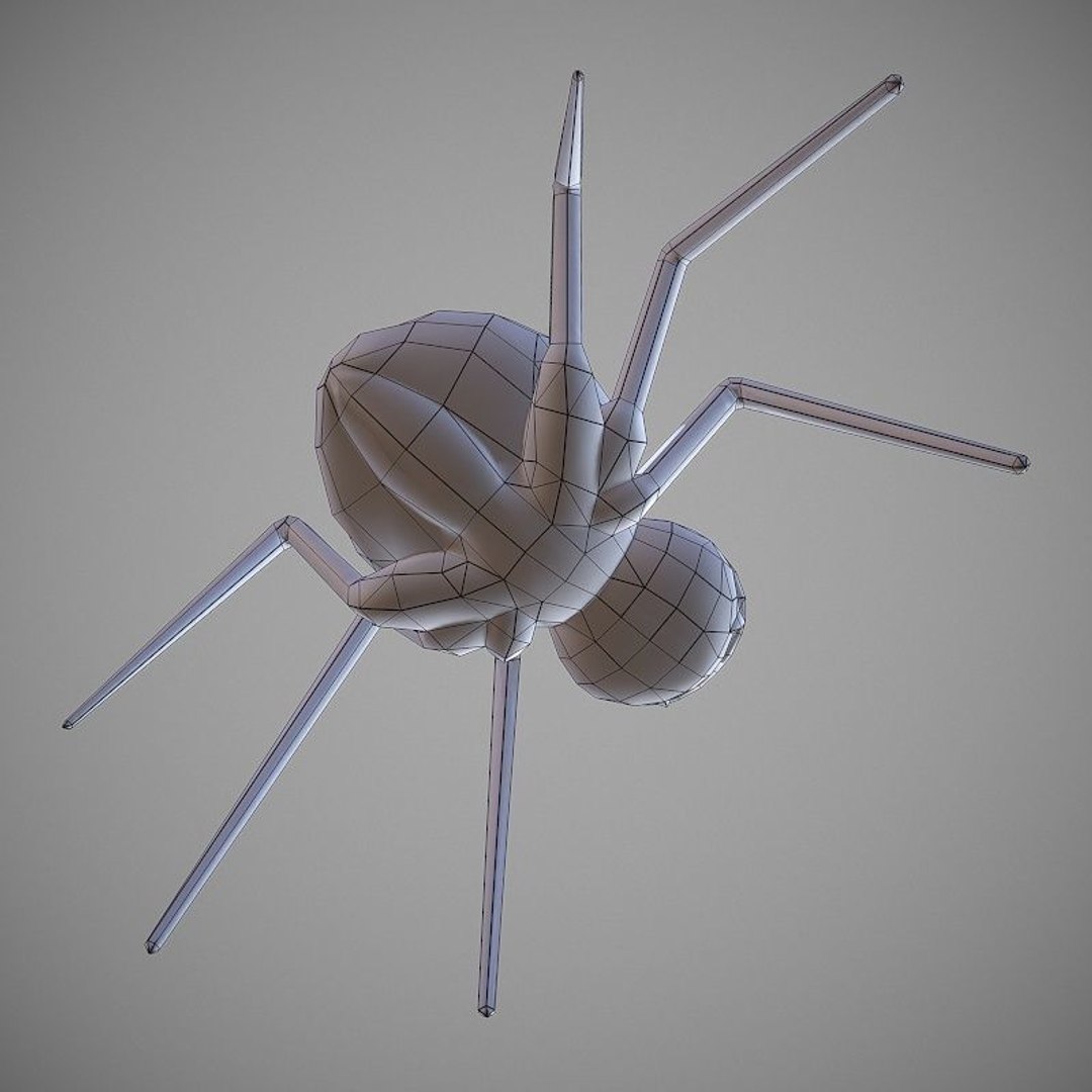 Spider Cartoon 3D Model - TurboSquid 1335009