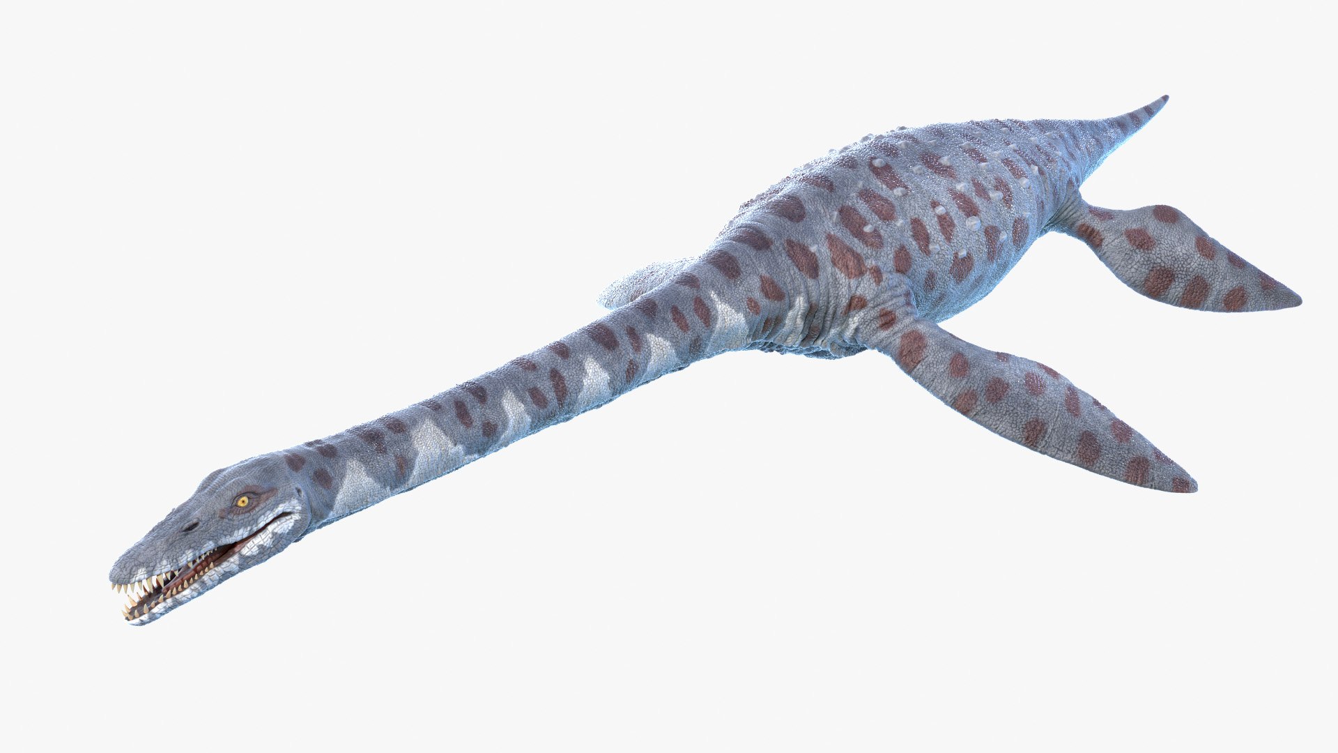 Attenborosaurus Static 3D model - TurboSquid 1917911