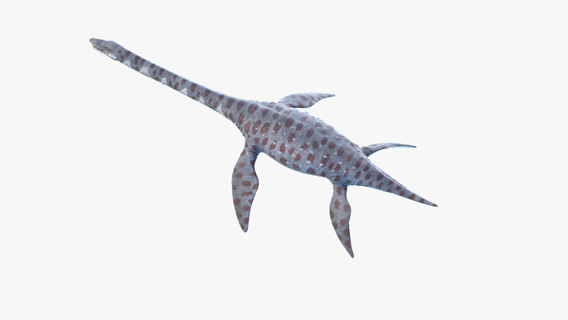 Attenborosaurus Static 3D model - TurboSquid 1917911