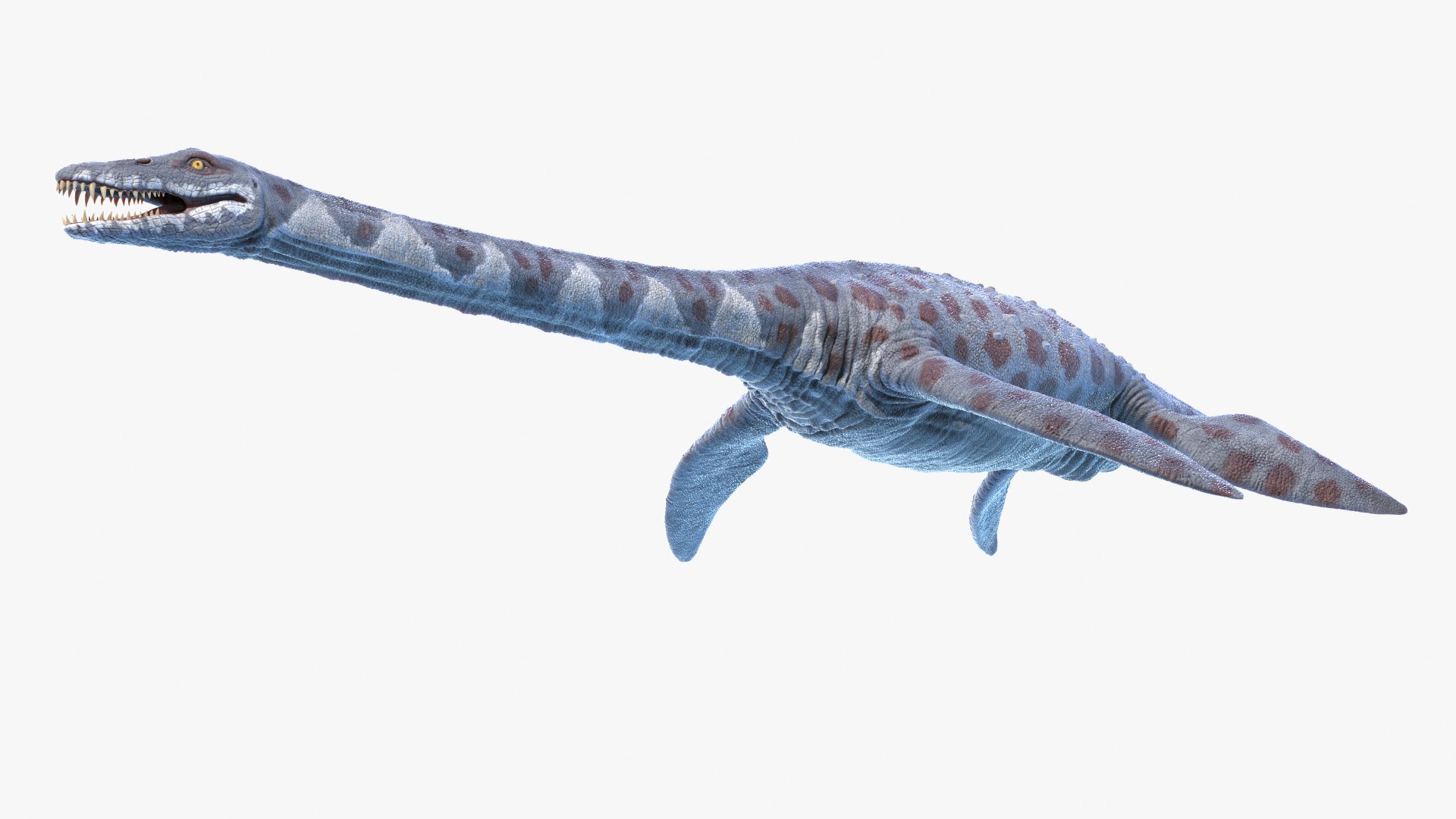 Attenborosaurus Static 3D model - TurboSquid 1917911