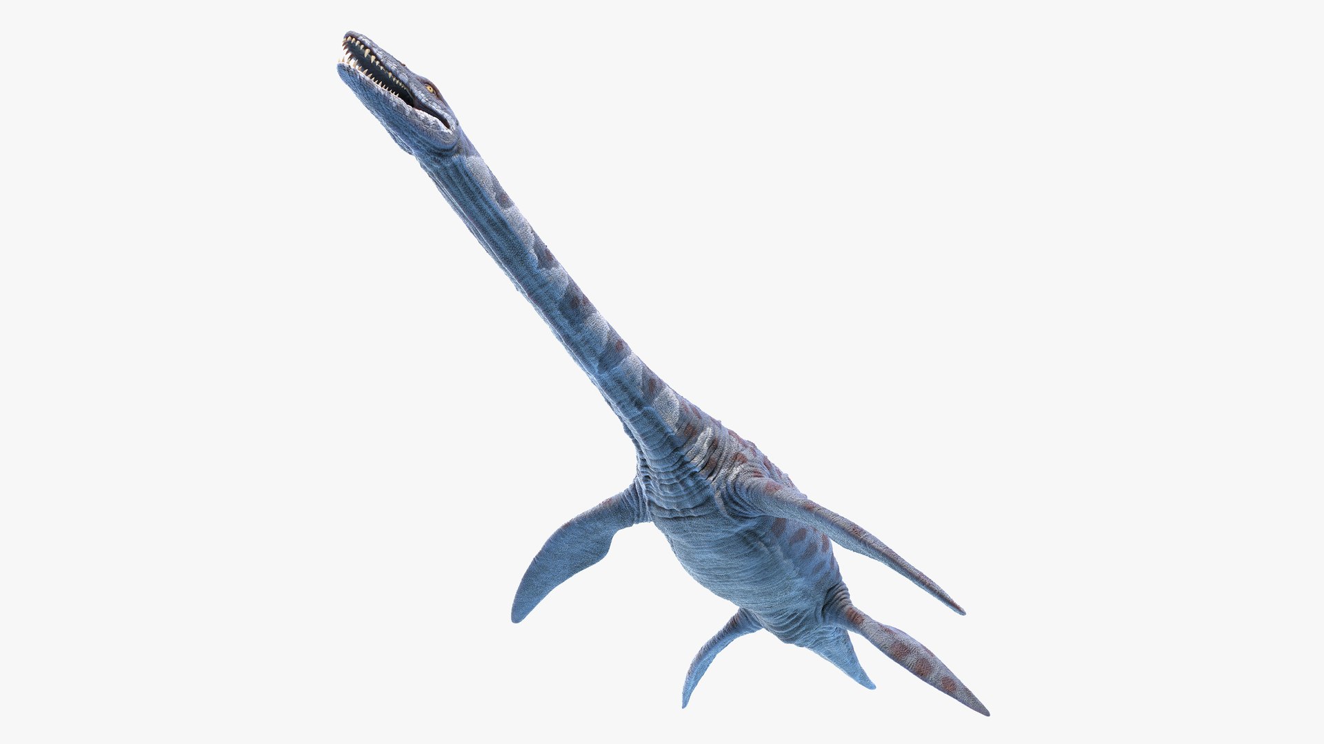 Attenborosaurus Static Modelo 3D - TurboSquid 1917911