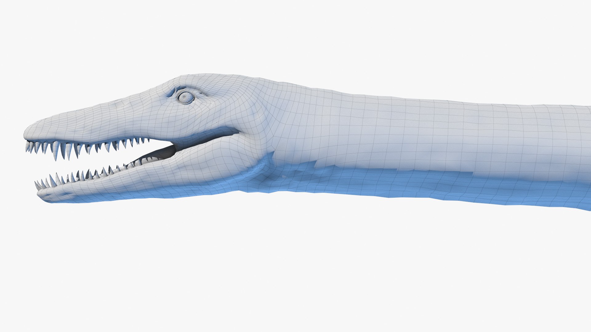 Attenborosaurus Static 3D model - TurboSquid 1917911