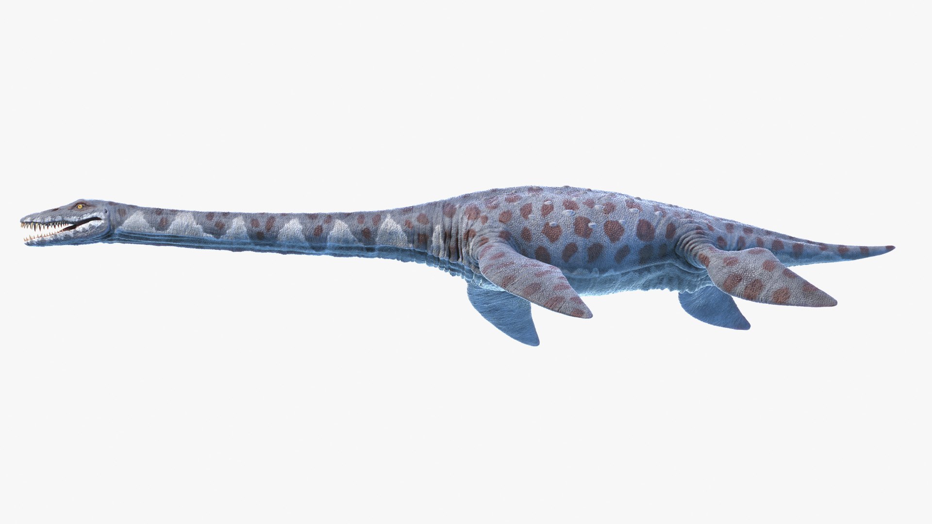Attenborosaurus Static 3D model - TurboSquid 1917911