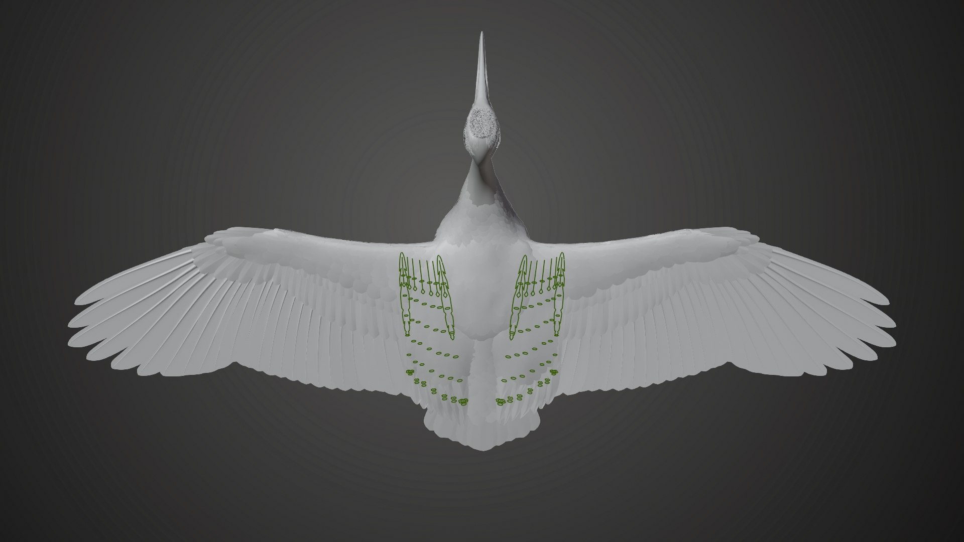 3D model Red-Crowned Crane Animation - TurboSquid 2057091