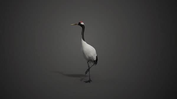 modelo 3d Red-Crowned Crane Animation - TurboSquid 2057091
