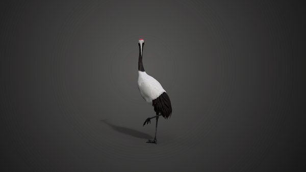 Red-Crowned Crane Animation 3D 모델 - TurboSquid 2057091