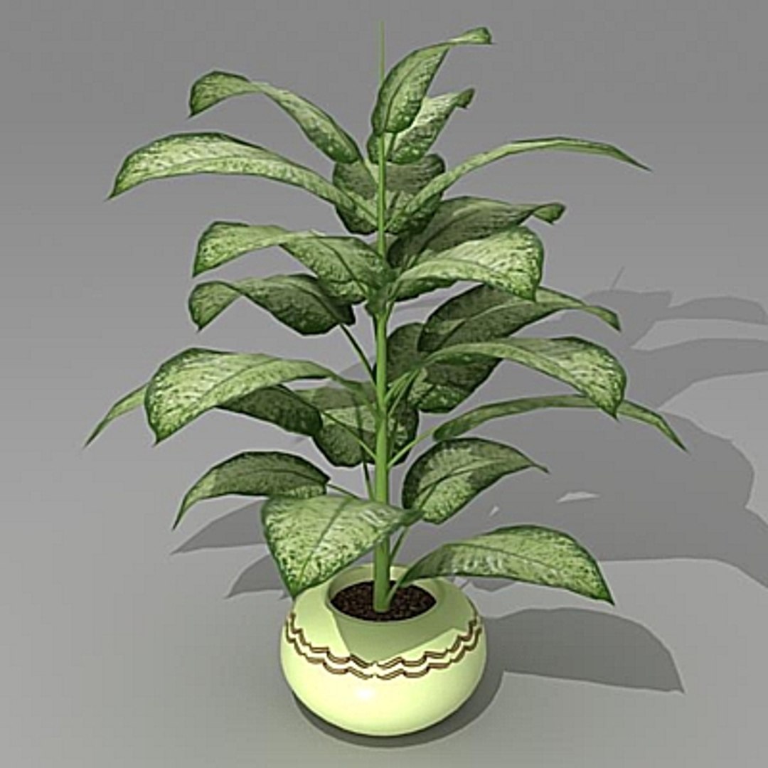 3d Max Plants