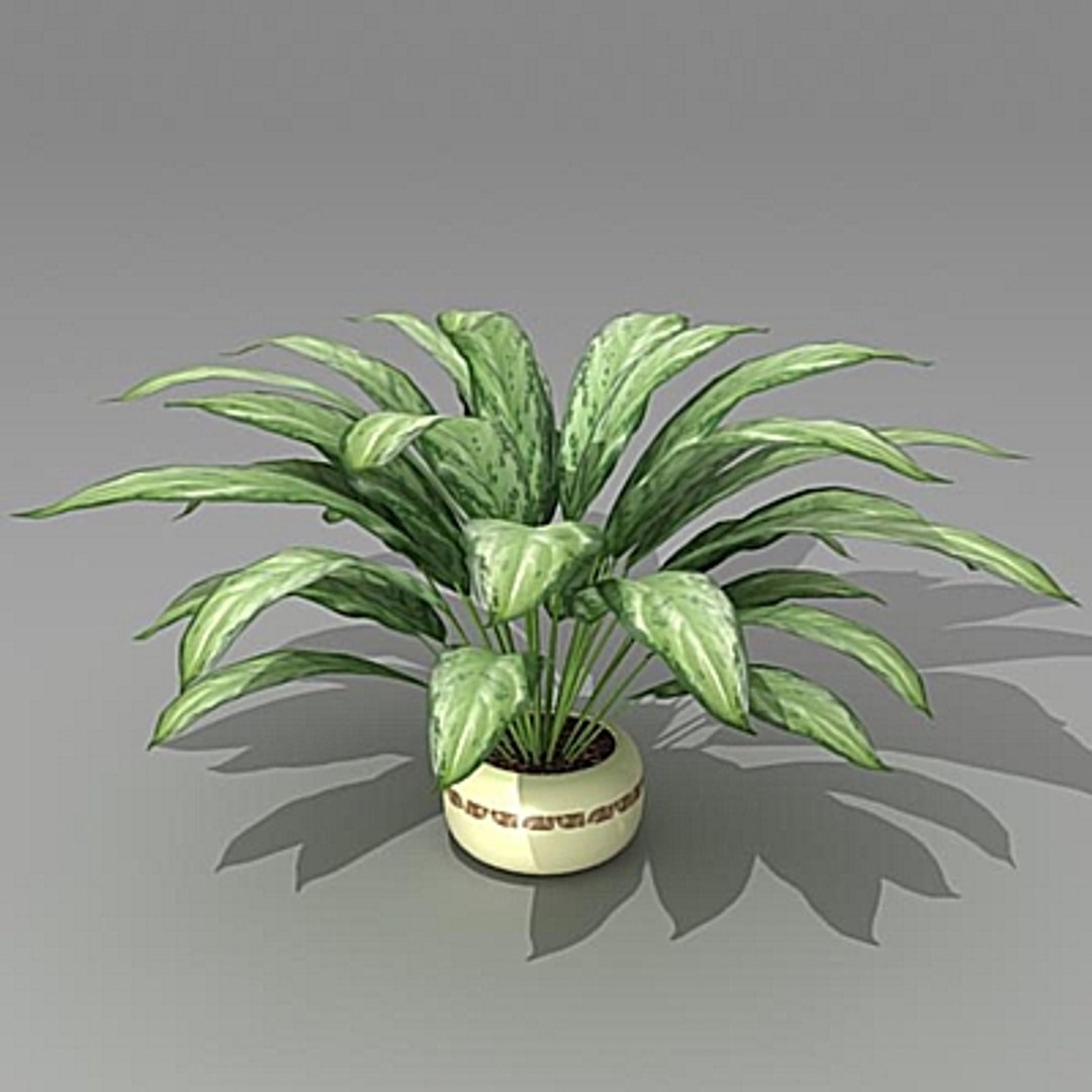 3d Max Plants