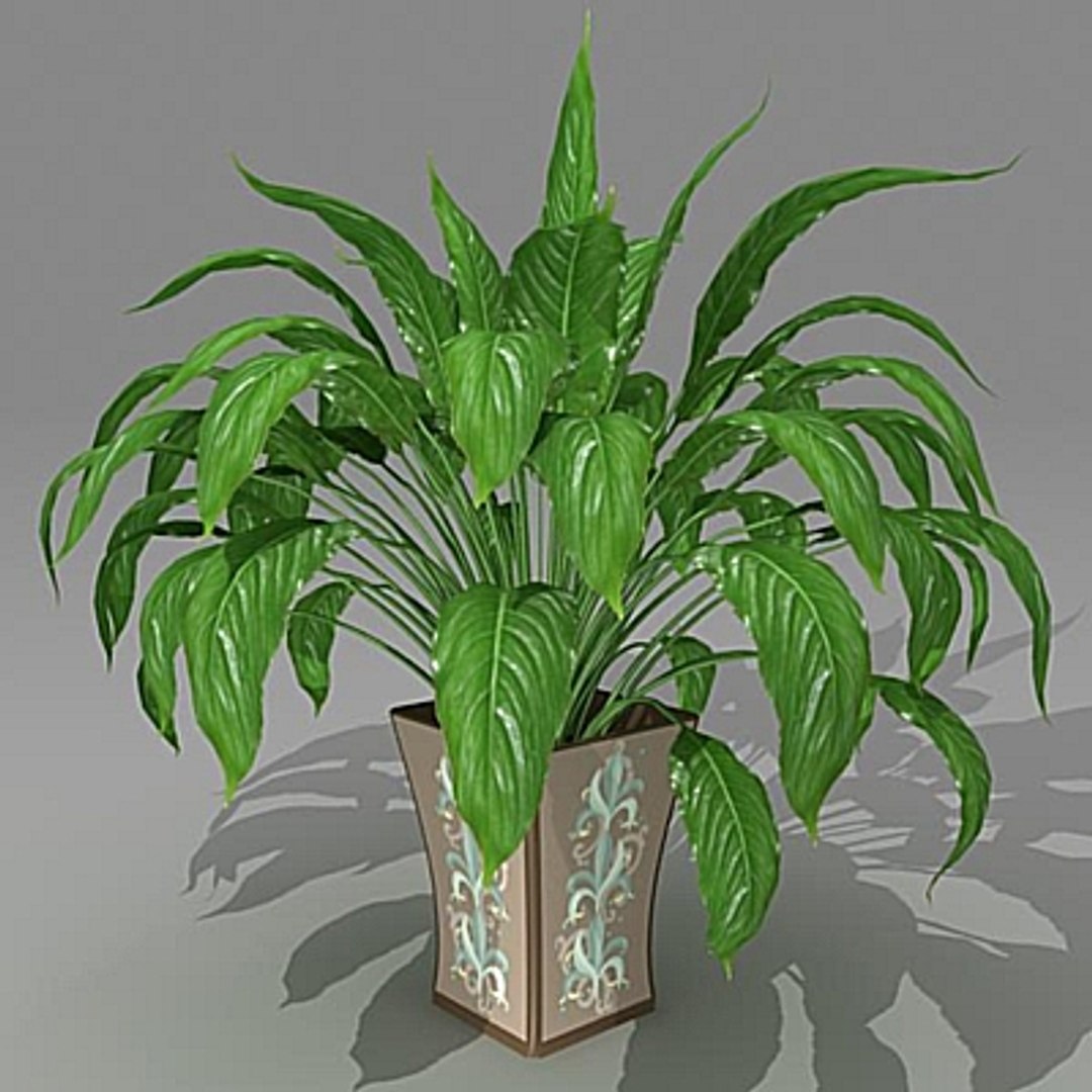 3d Max Plants