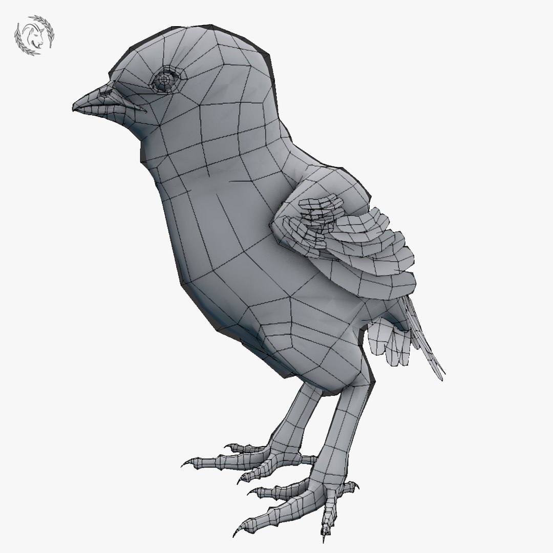 Chicken Chick Model - TurboSquid 1205203