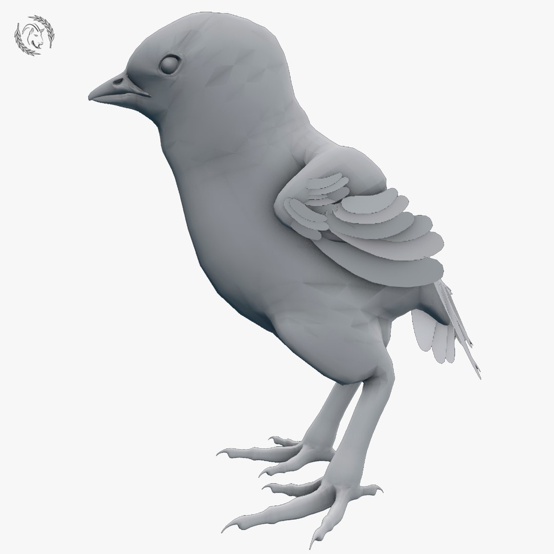 Chicken chick model - TurboSquid 1205203