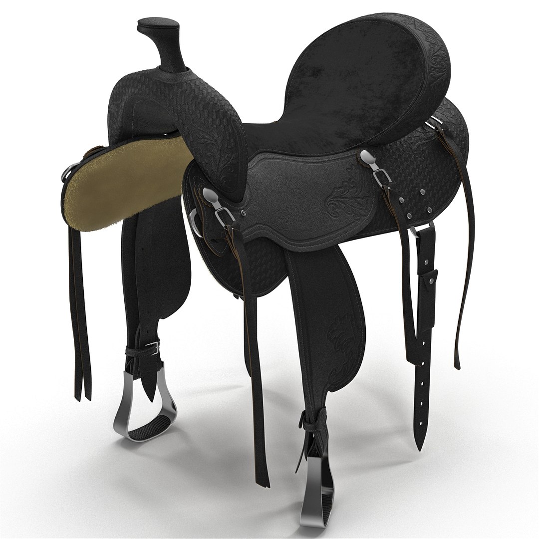 Saddle 3 3d Model