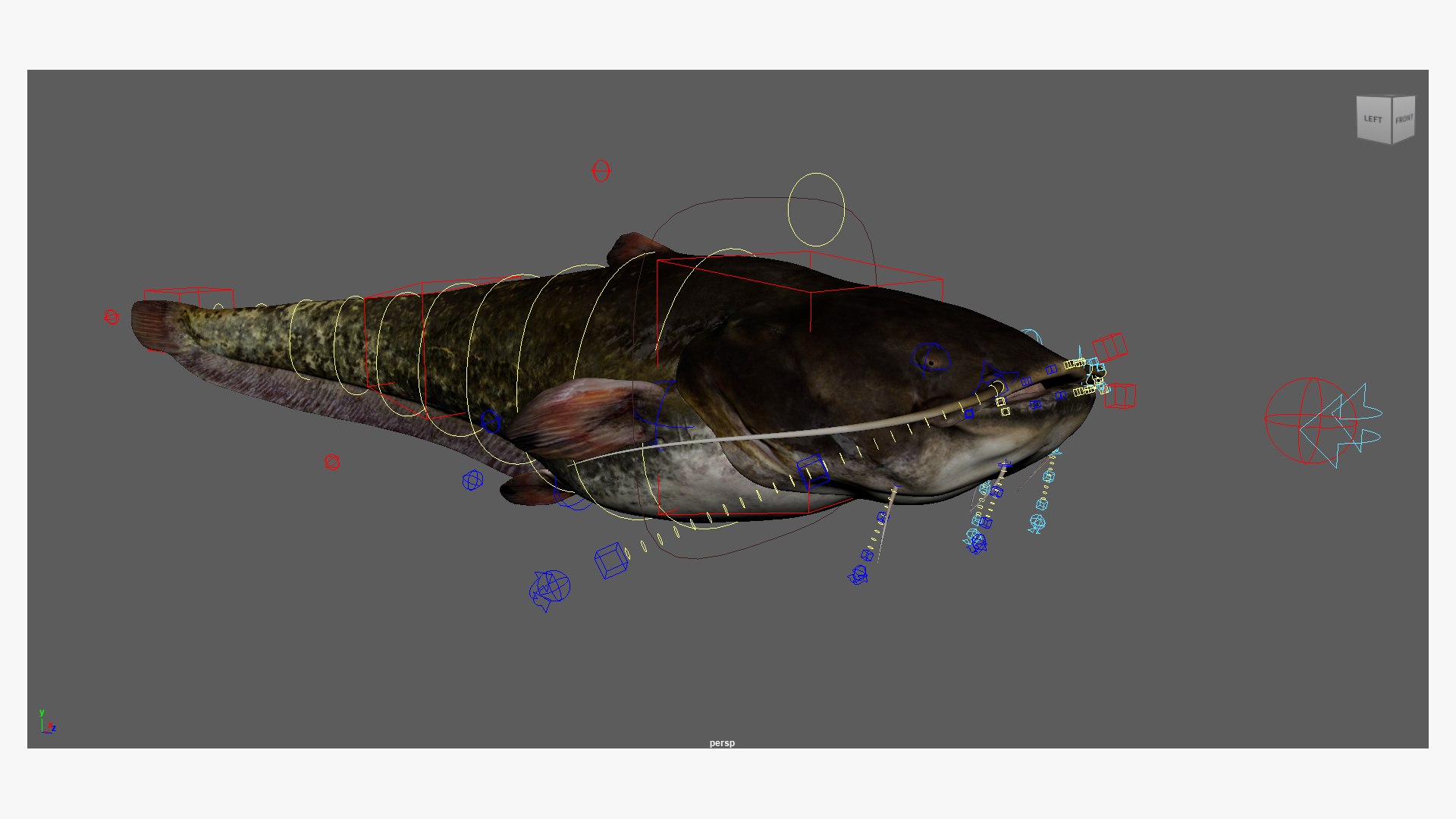 3D Model Catfish Animated - TurboSquid 2388472