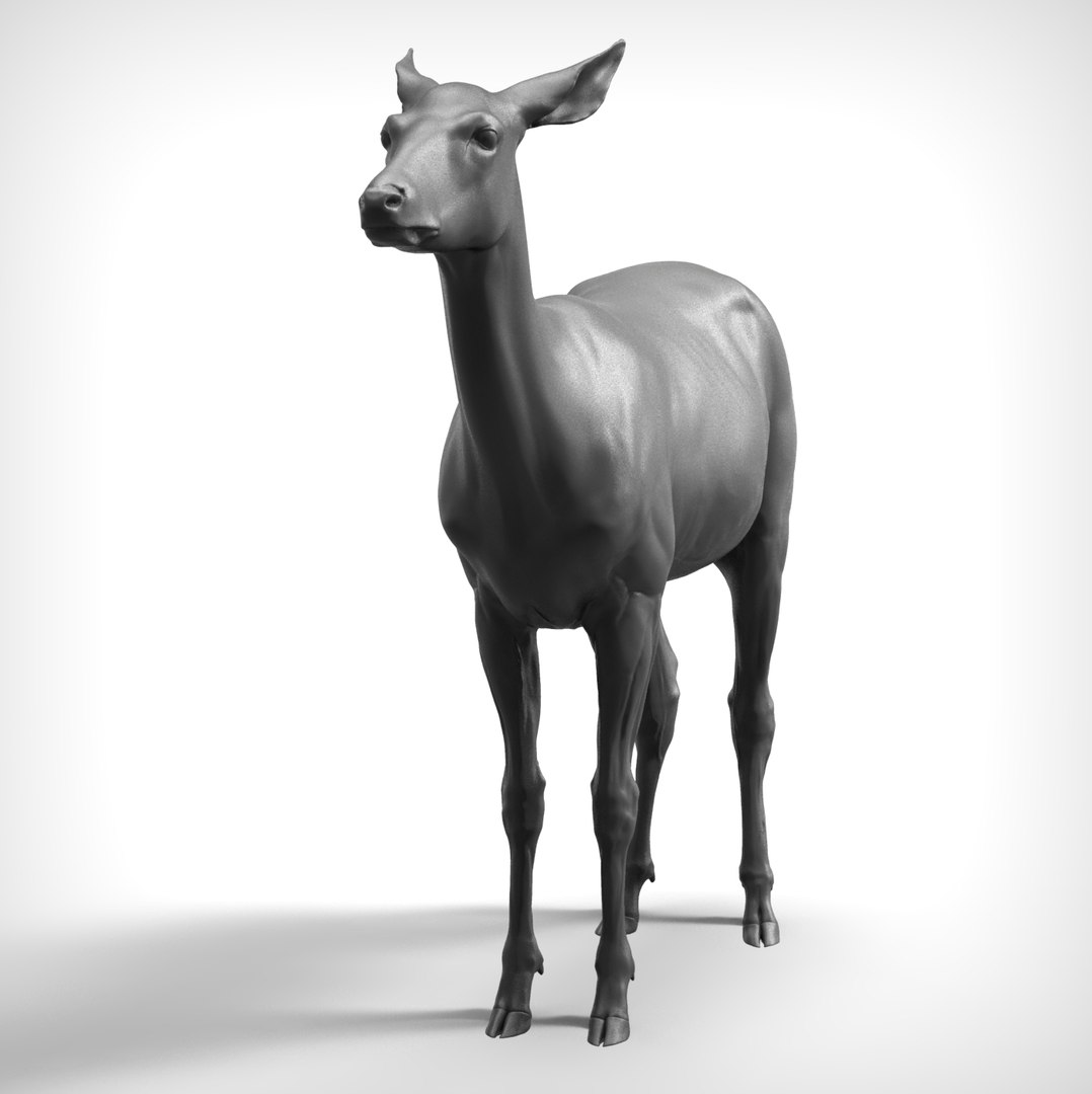 3D Deer Realistic Model - TurboSquid 1208106