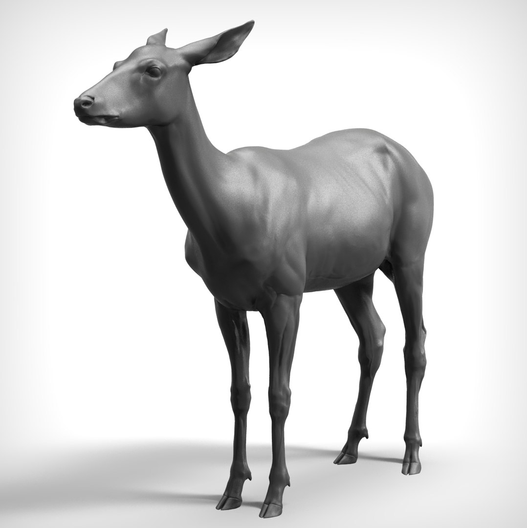 3D Deer Realistic Model - TurboSquid 1208106
