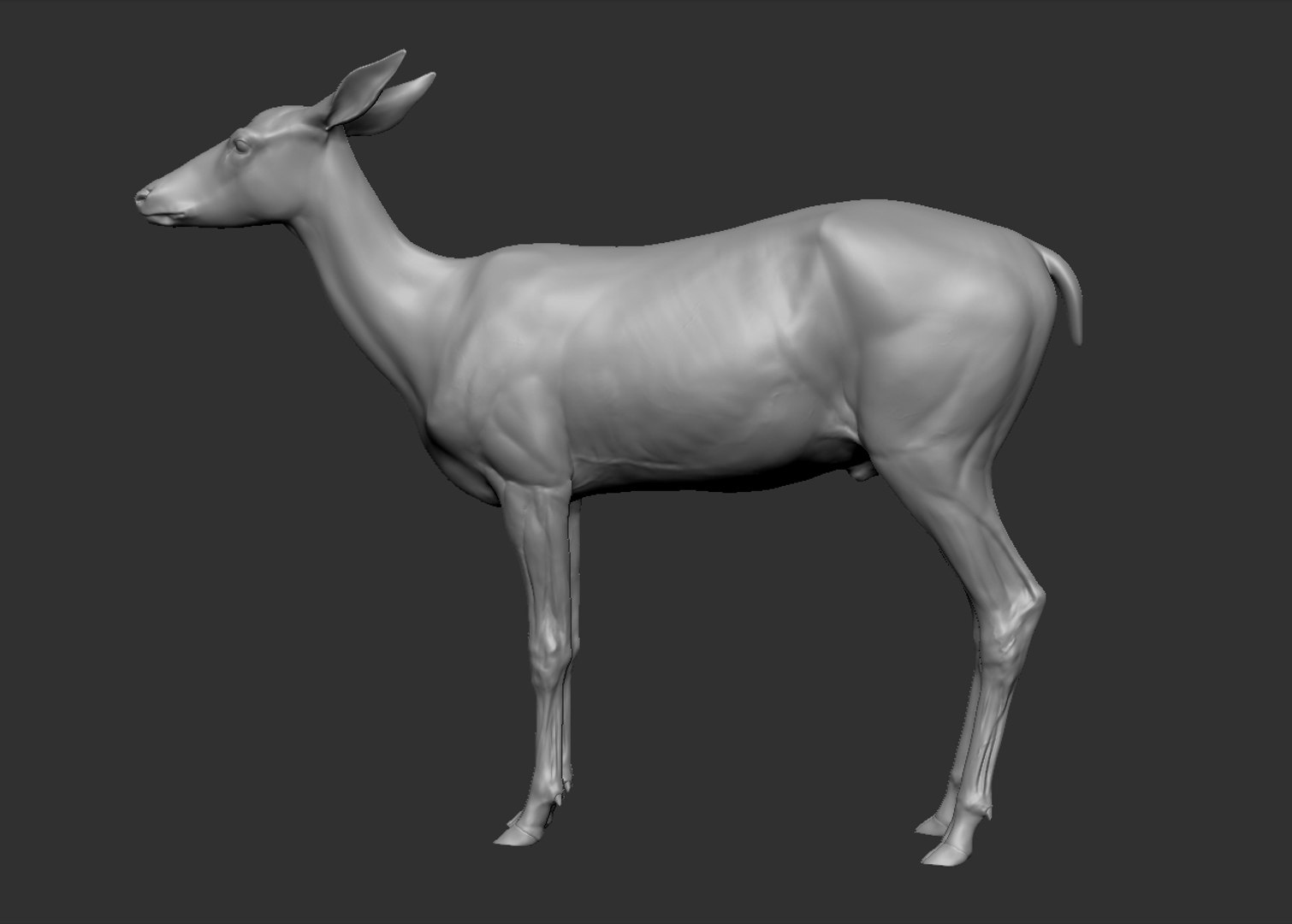 3D Deer Realistic Model - TurboSquid 1208106