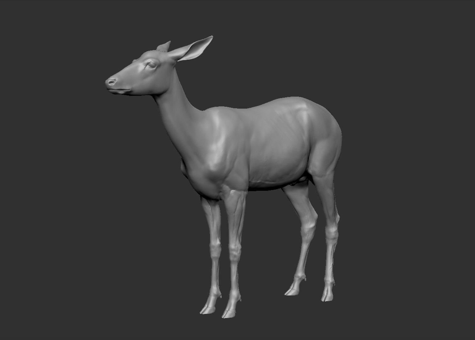 3D Deer Realistic Model - TurboSquid 1208106