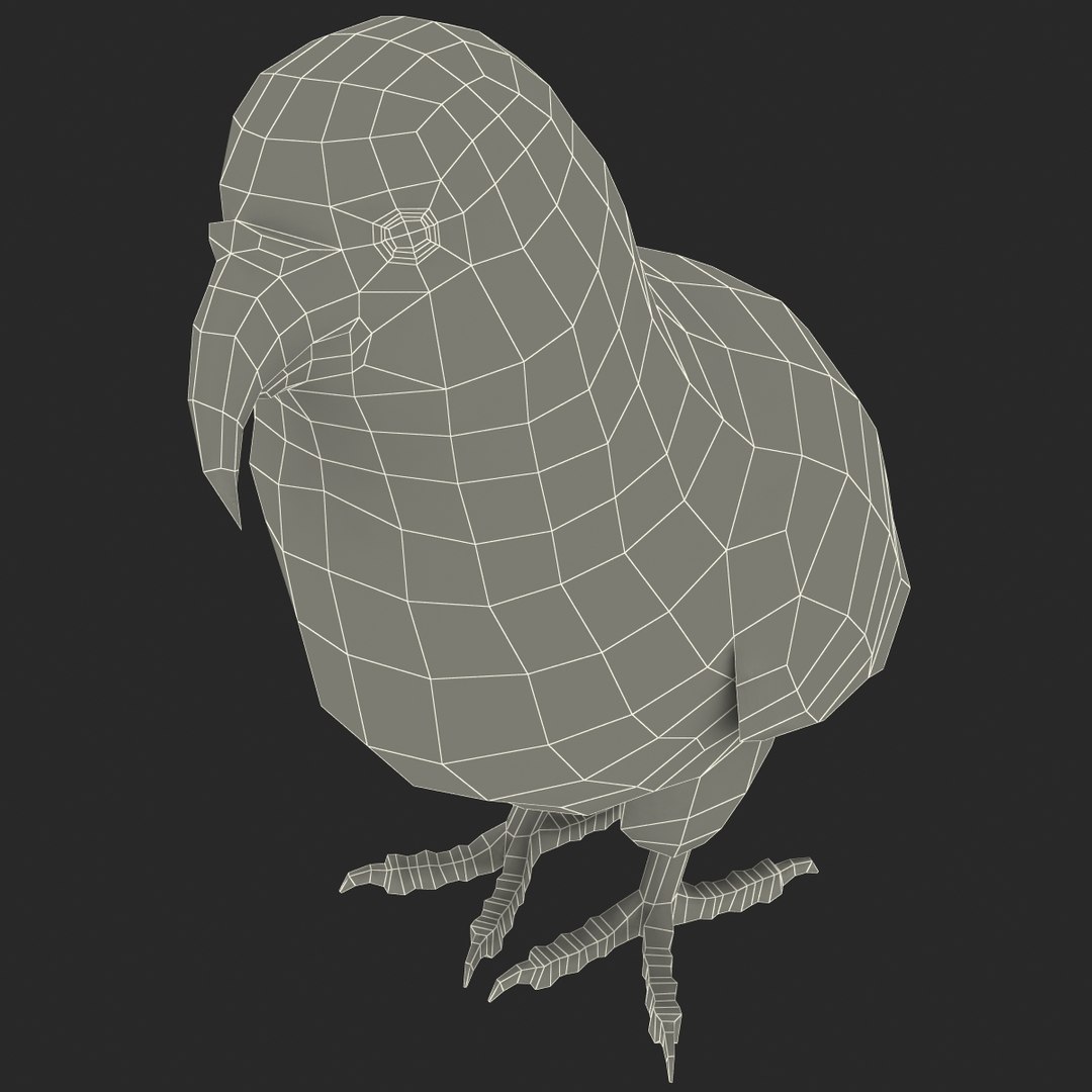 3ds max kea parrot bird